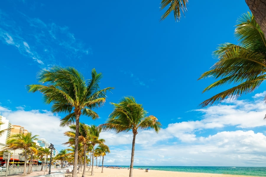Las Olas Beach – Coastal Paradise with top Restaurants and Shopping in ...