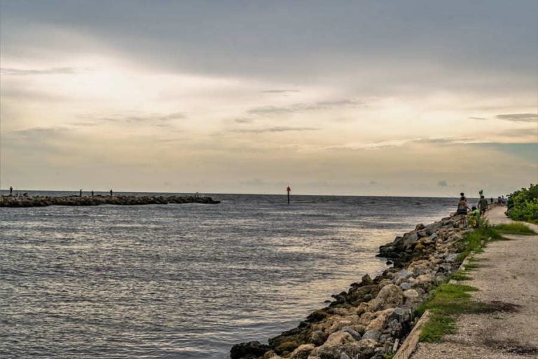 North Jetty Beach – hidden Gem for Beach Lovers in Venice